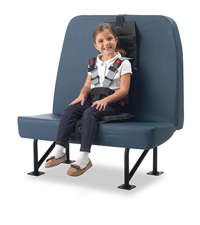 BESI Restraints - Interwest Dev SIteInterwest Dev SIte